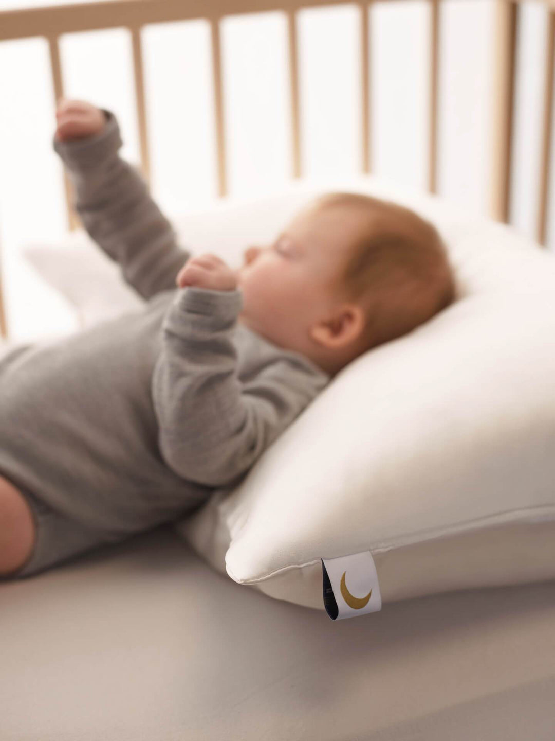 Collections – Moonchild